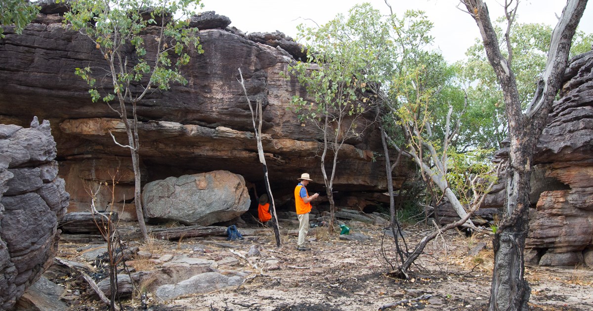 Data Collection Storage And Analysis For Researchers Environmental